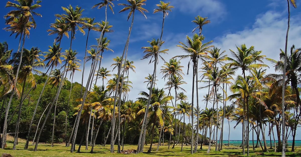 The History of Bequia